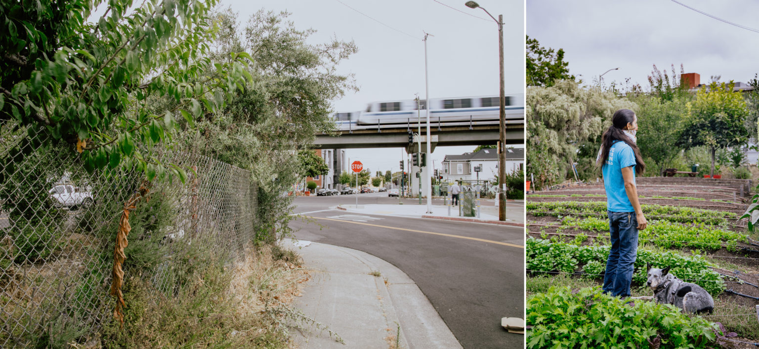 Food Access, Gentrification, and Decolonization: An Urban Farmer’s ...