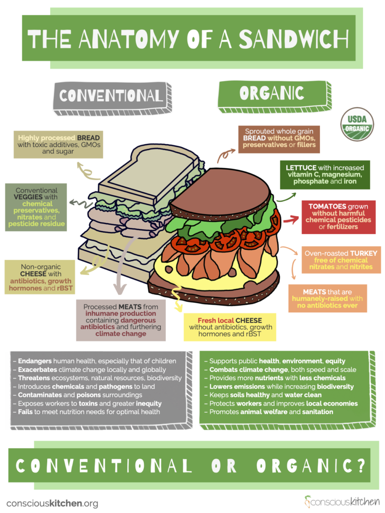 Sandwich Infographic - Conscious Kitchen