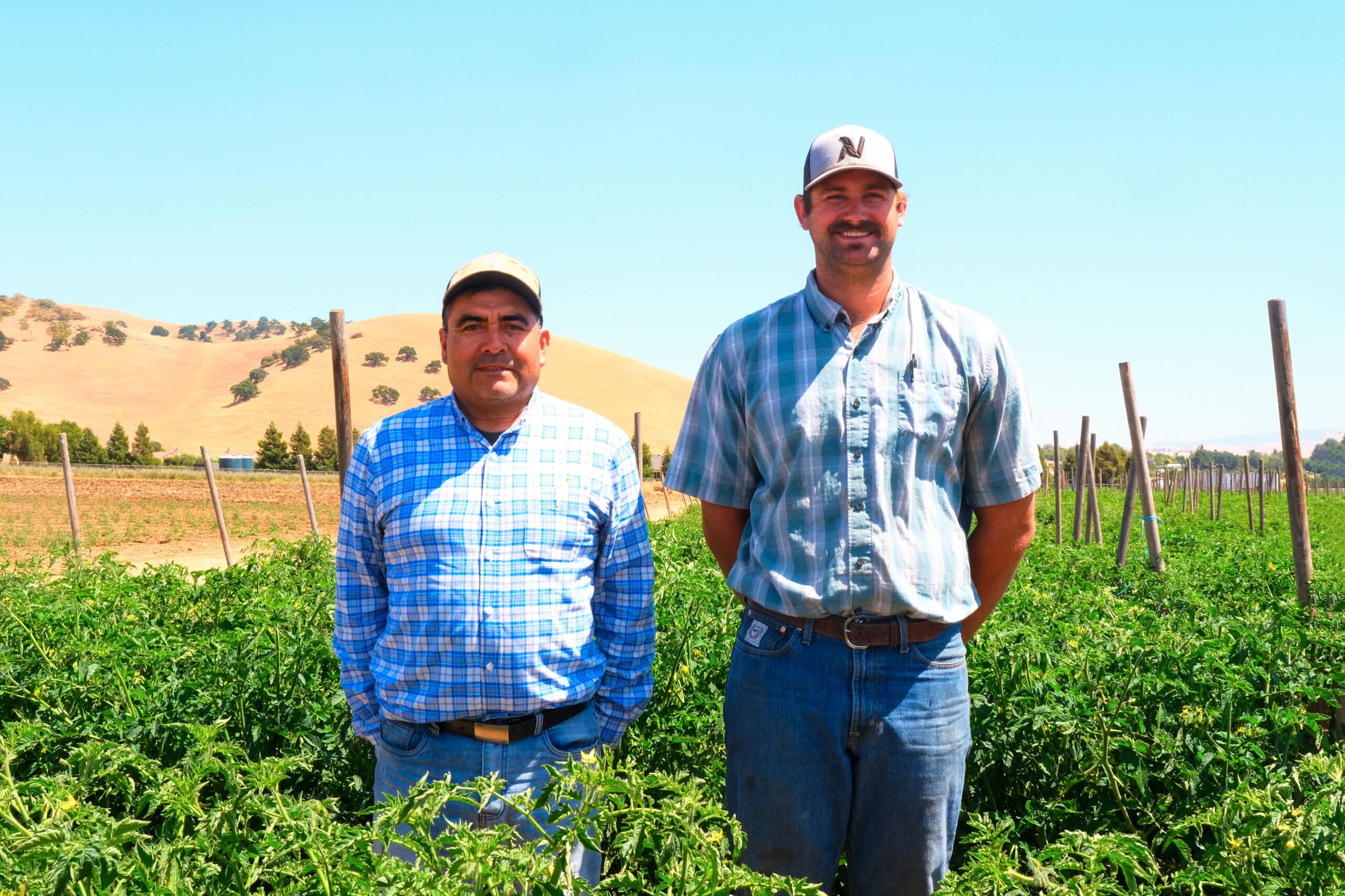 dnb 2 - Conscious Kitchen